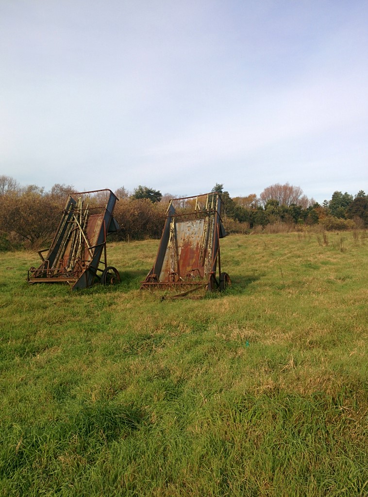 Waitangi Park to Puketapu via Swamp Rd | Hawkes Bay Ebike Rides
