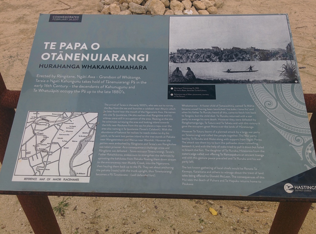 Aquarium to Fire Station Cafe | Hawkes Bay Ebike Rides