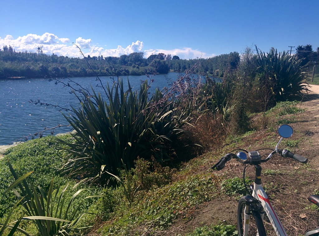 Aquarium to Fire Station Cafe | Hawkes Bay Ebike Rides